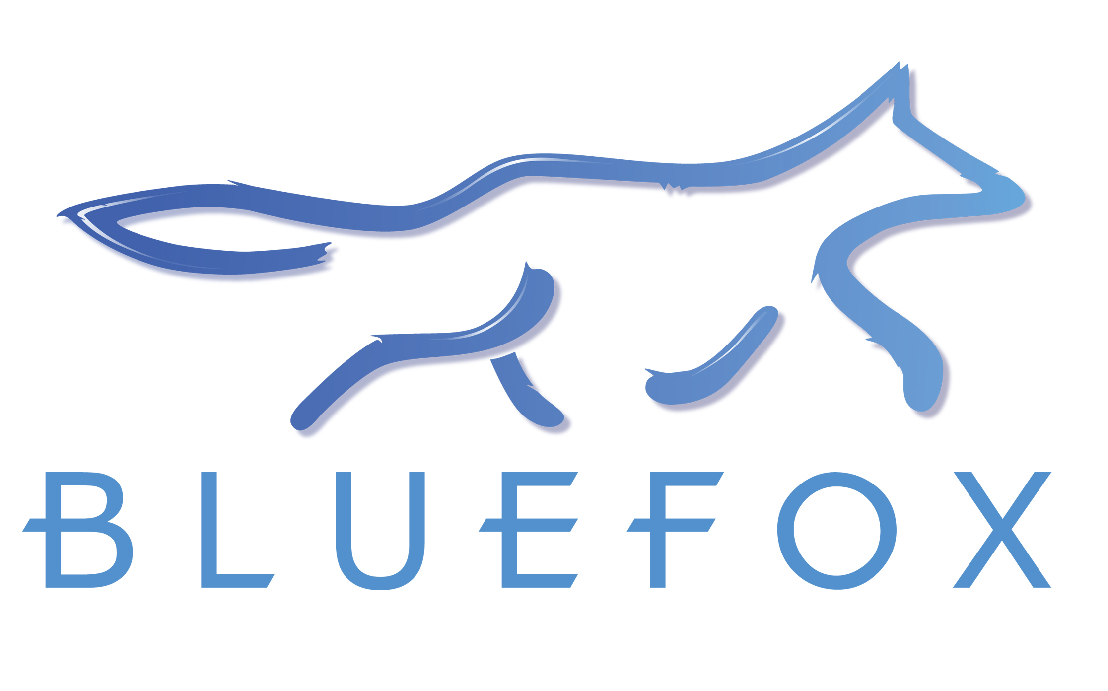 Silicon Valley Retail Accelerator – Plug and Play